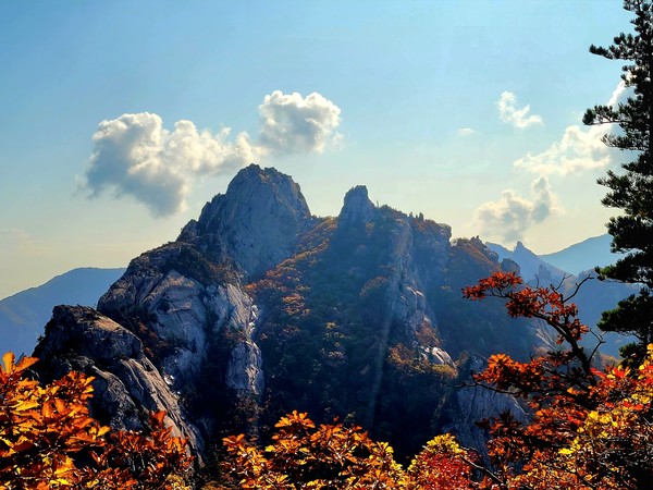 김선욱, 서울시향과 함께 피아노 연주·지휘…'합창' 감동 재현할까 - Kollo