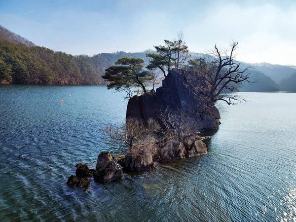 [윤일원의 맹꽁깨千] 도로 눈을 감으시오 - Kollo