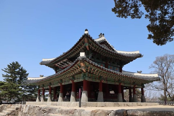 [윤일원의 맹꽁깨千] 수레를 아무리 이어도 기차가 되지 않아 - Kollo