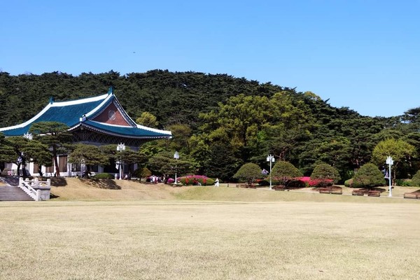 [윤일원의 맹꽁깨千] 땅굴 파는 사람들 - Kollo