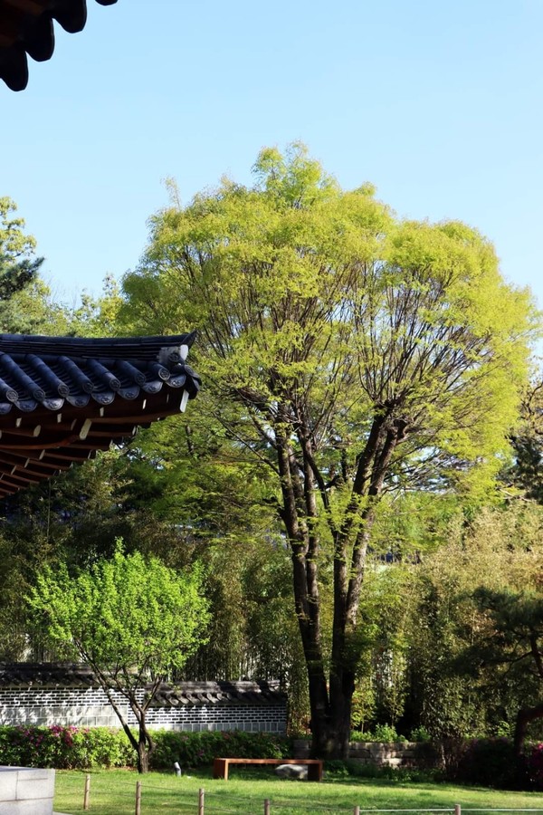 [윤일원의 맹꽁깨千] 땅굴 파는 사람들 - Kollo