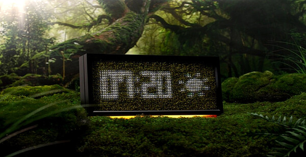 모스랩, 이끼 활용해 ESG 실현...‘도심 속 자연을 되살리다’